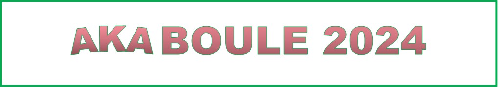 All In One Tour Services AKA 2024 Boule Tours